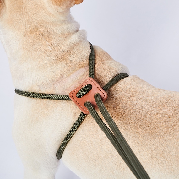 Step In Dog Harness