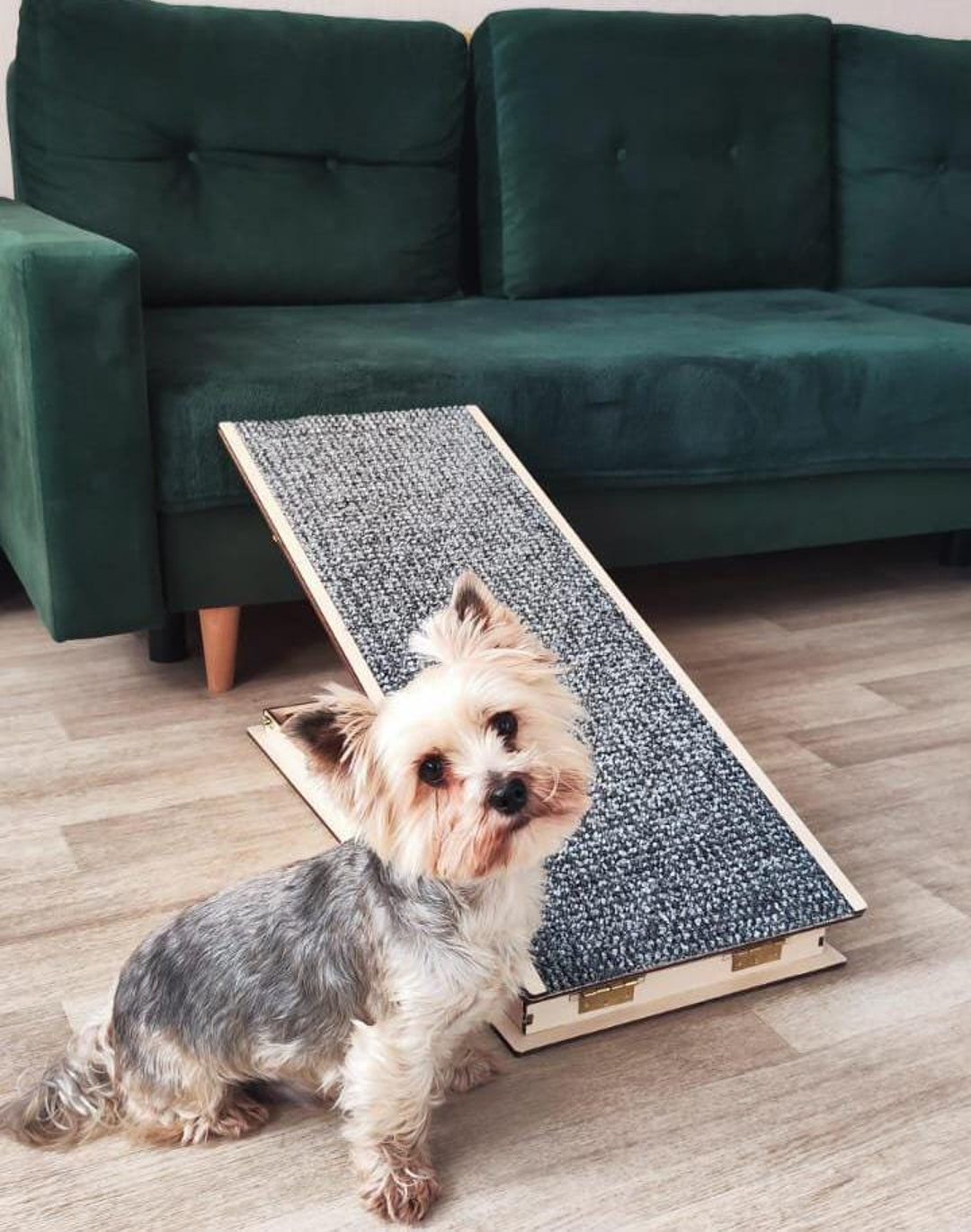 Dog Ramp for Couch, Dog Ramp for Bed, Adjustable Dog Ramp, Foldable Dog ...
