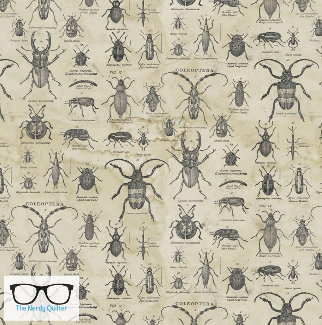 Laboratory Specimen in Neutral by Tim Holtz for Freespirit - Sold by ...