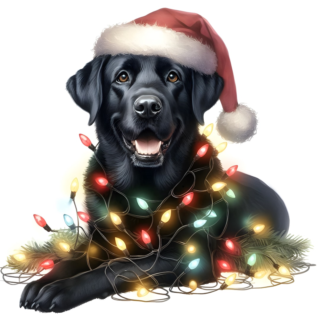 Labrador Black Dog Png With Christmas Light, PNG and JPG Sublimation ...