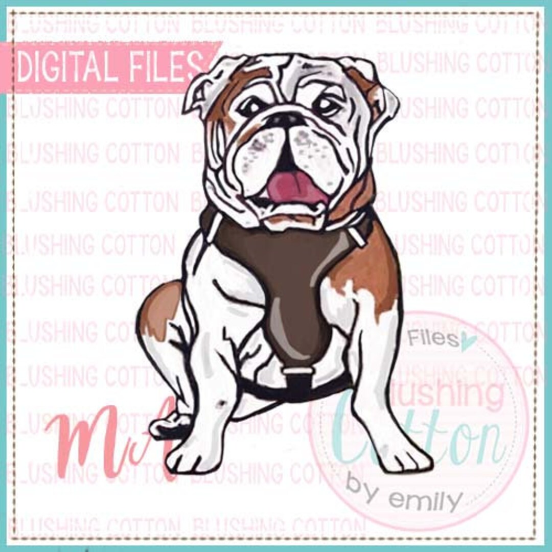 Bulldog With Harness Handpainted Design PNG Artwork Digital - Etsy