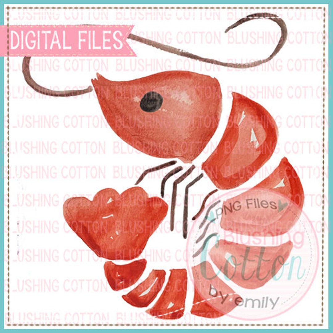 Shrimp Watercolor Design PNG Artwork Digital File for Printing and ...