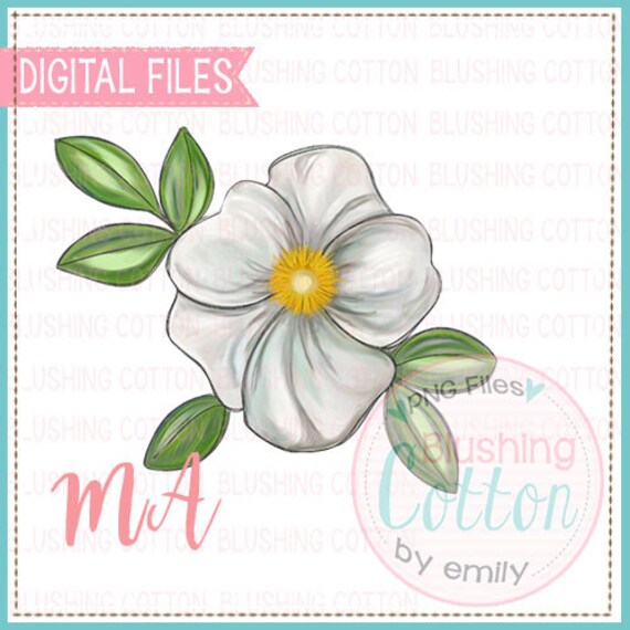 Georgia State Flower Design BCMA | Etsy