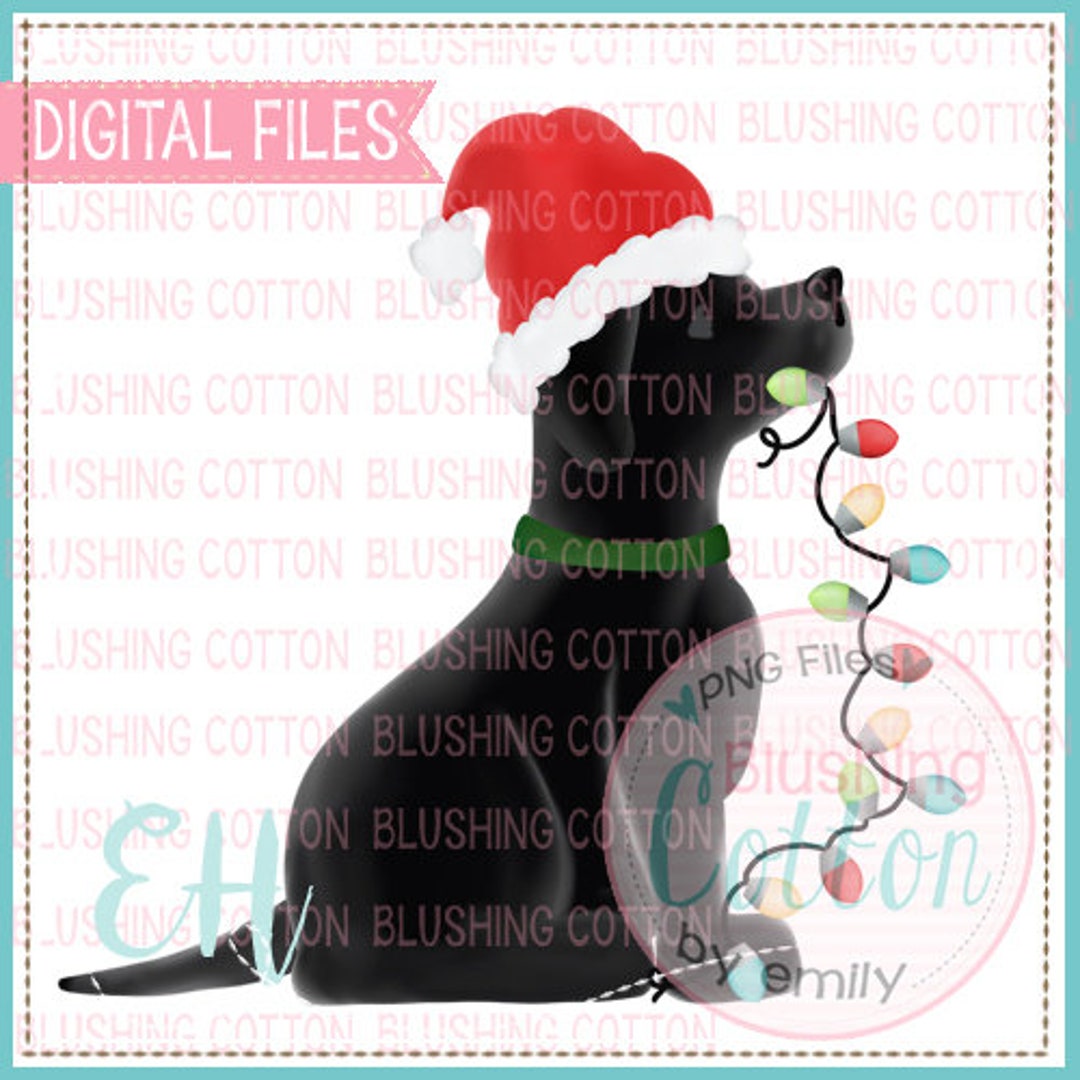 Black Lab Santa With Christmas Lights Design PNG Artwork Digital File ...