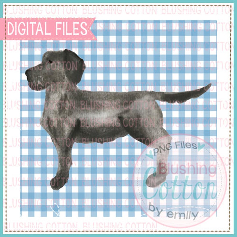 Black Lab Blue Gingham Square Dog Sportsman PNG Watercolor | Etsy