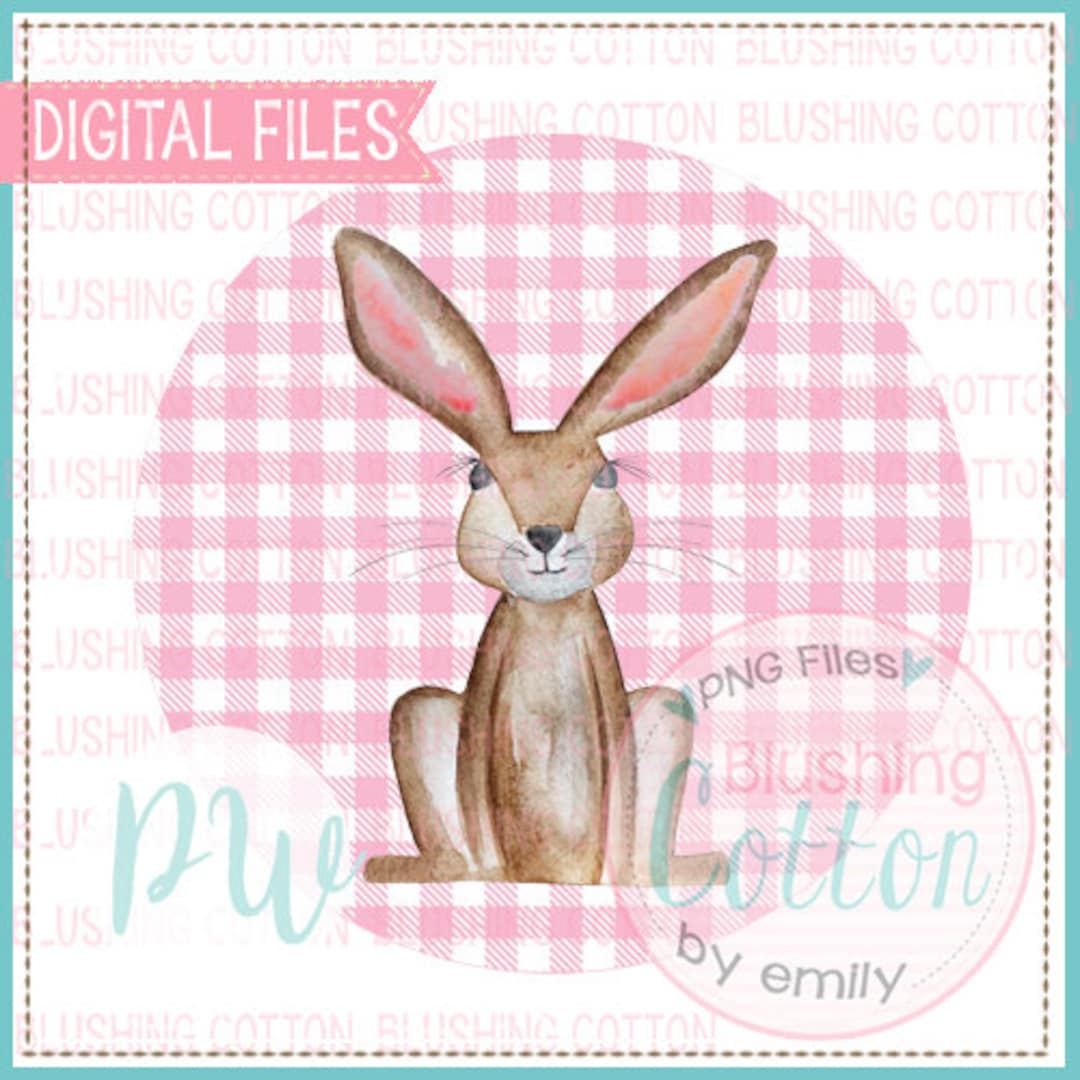 Bunny Pink With Soft Pink Checkered Circle Background Watercolor PNG ...