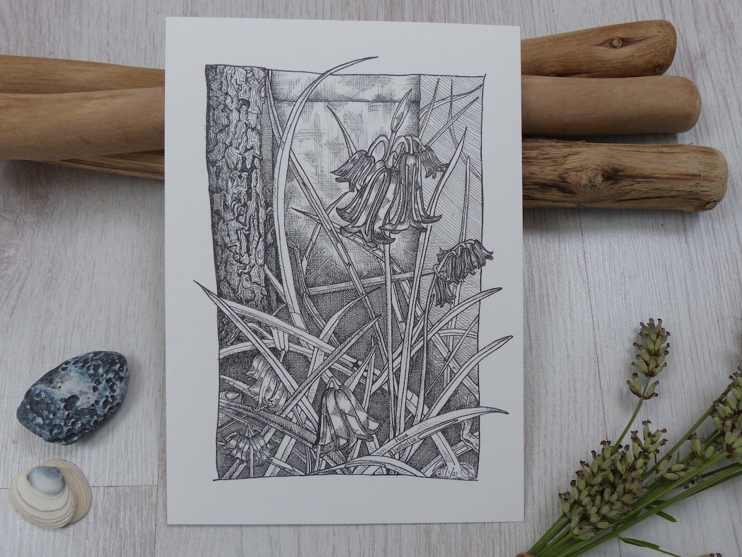 Botanical Print Pen and Ink Original Botanical Drawing - Etsy