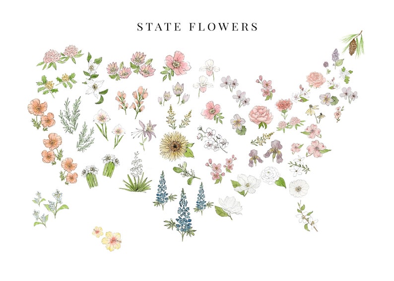 State Flower Map | Wildflowers | Watercolor | 11x14 - Etsy