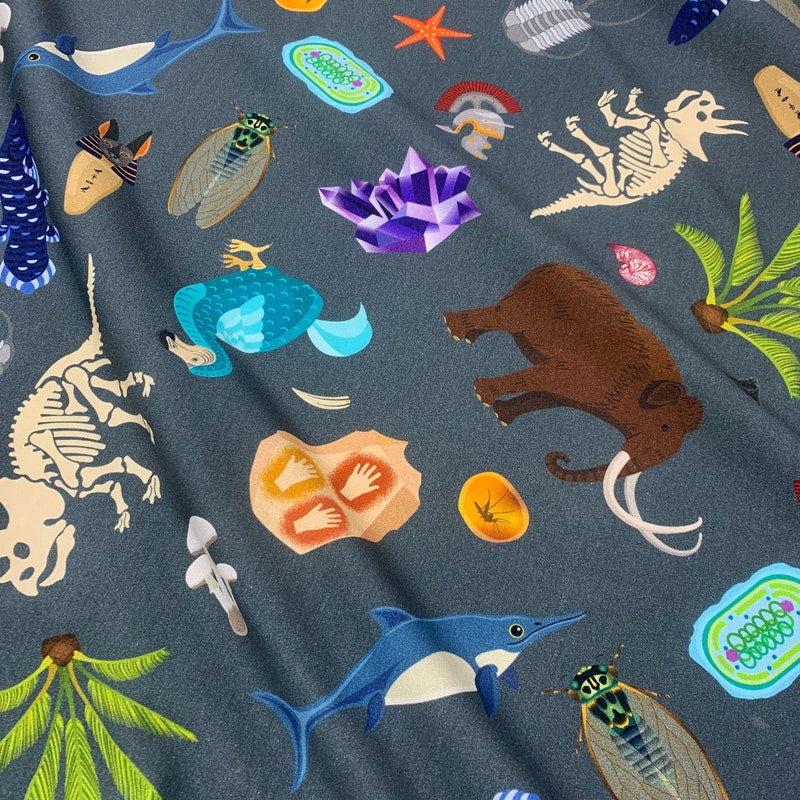 Geology Fabric - Etsy UK