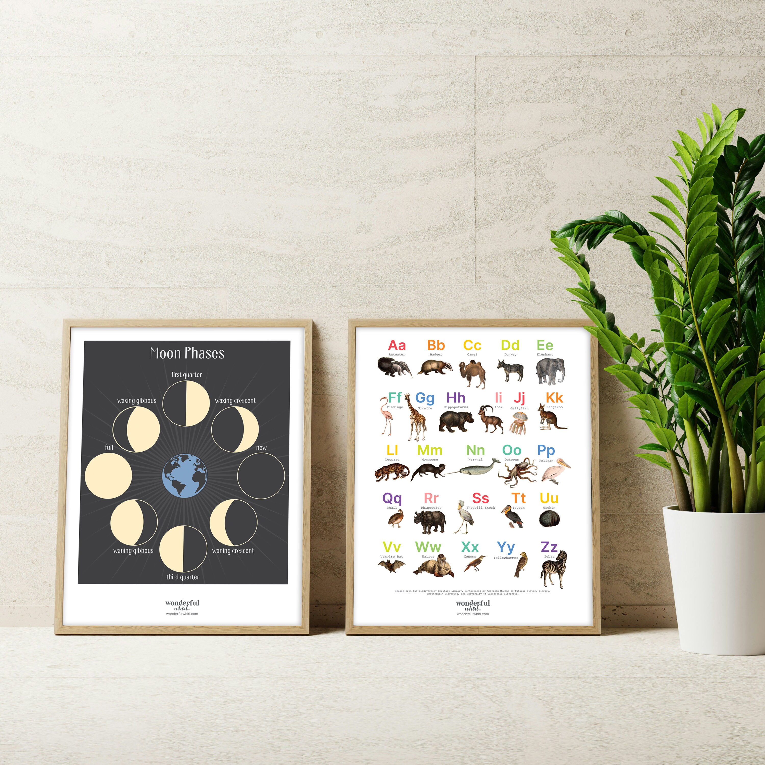 Printable Educational Posters Alphabet, Numbers, Colors, Moon/solar ...