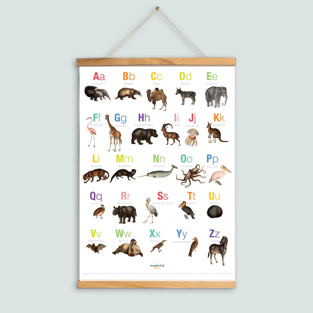 Animal Alphabet Poster -- Educational Children's Poster Chart -- for ...