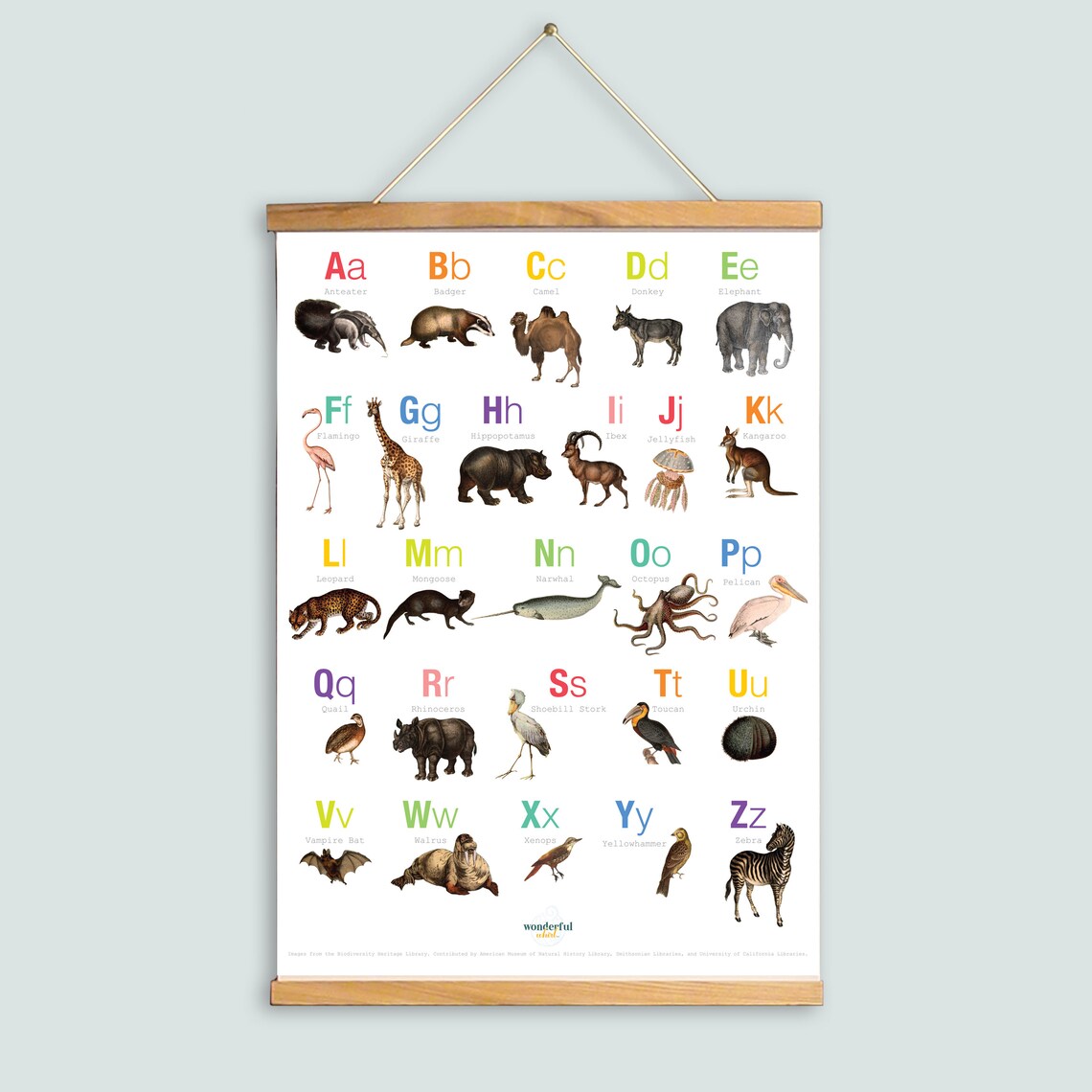 Animal Alphabet Poster Educational Children's Poster - Etsy