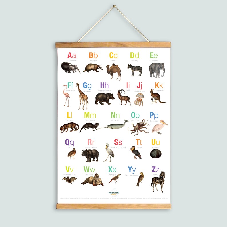 Animal Alphabet Poster Educational Children's Poster Chart for Playroom ...