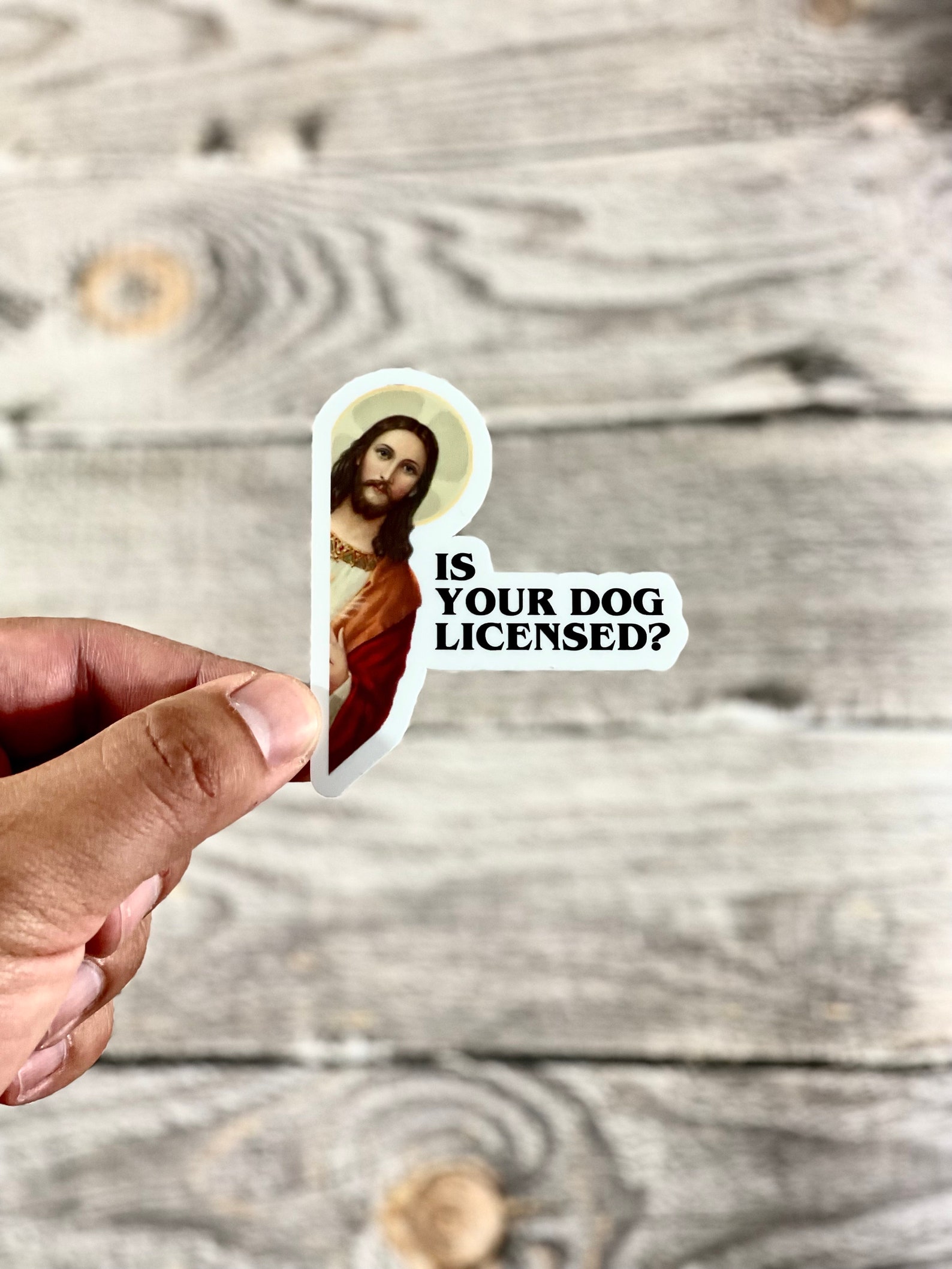 Is Your Dog Licensed Jesus Sticker/ I Saw That/ Humor for Animal ...