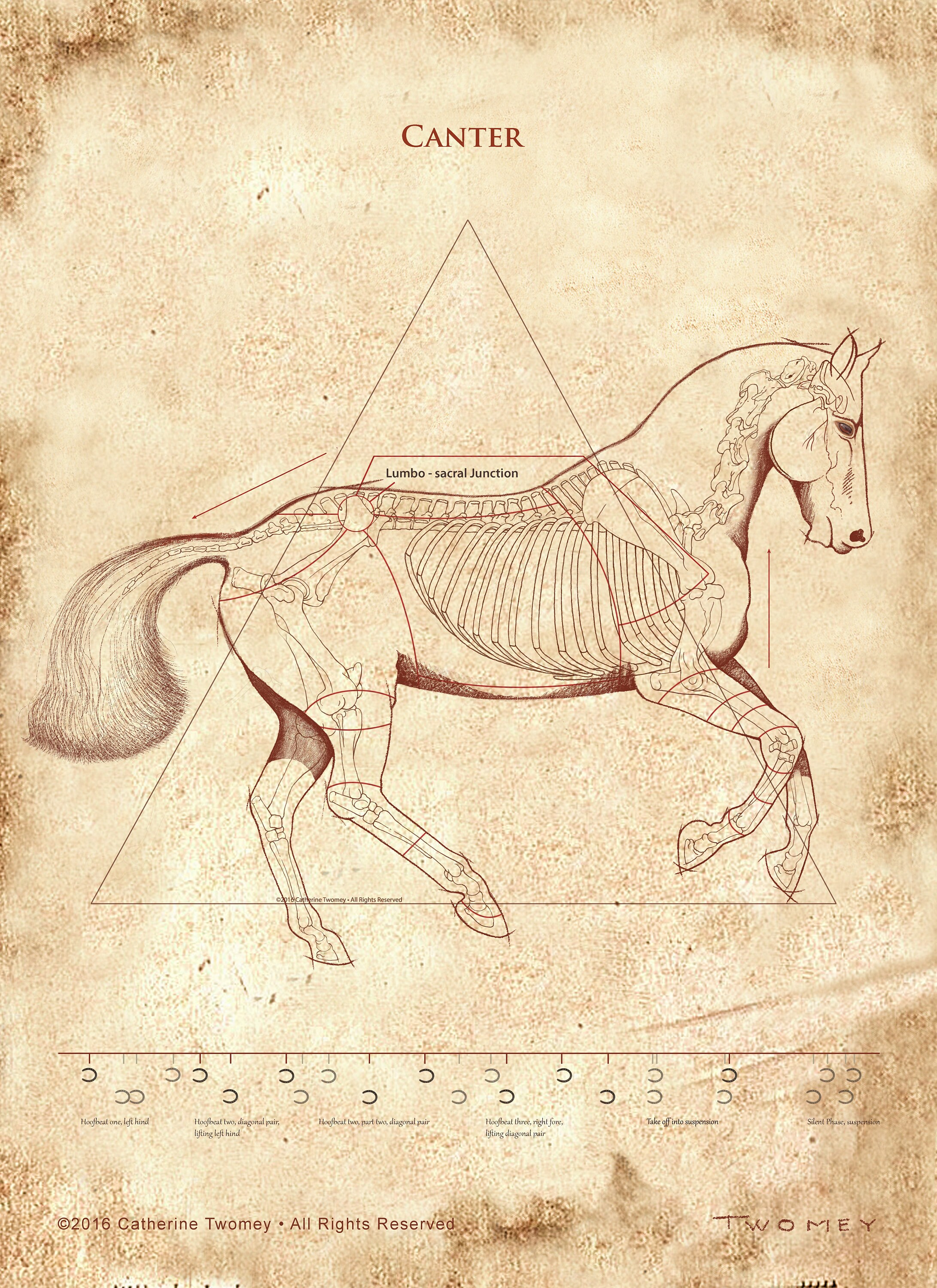 Da Vinci Horse, the Canter Revealed, High Quality Print From Oil ...