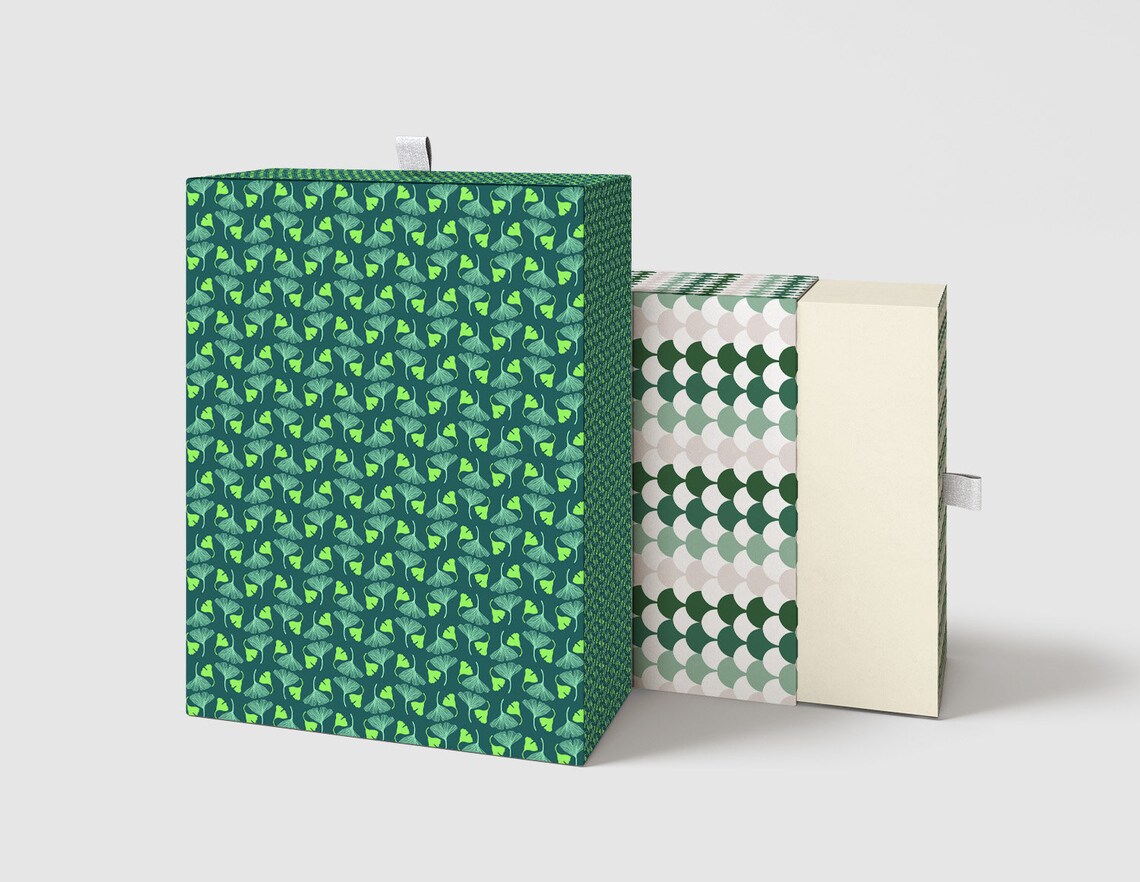 Ginkgo Leaves Digital Papers, Ginko Illustration,clam Shell Patterns ...