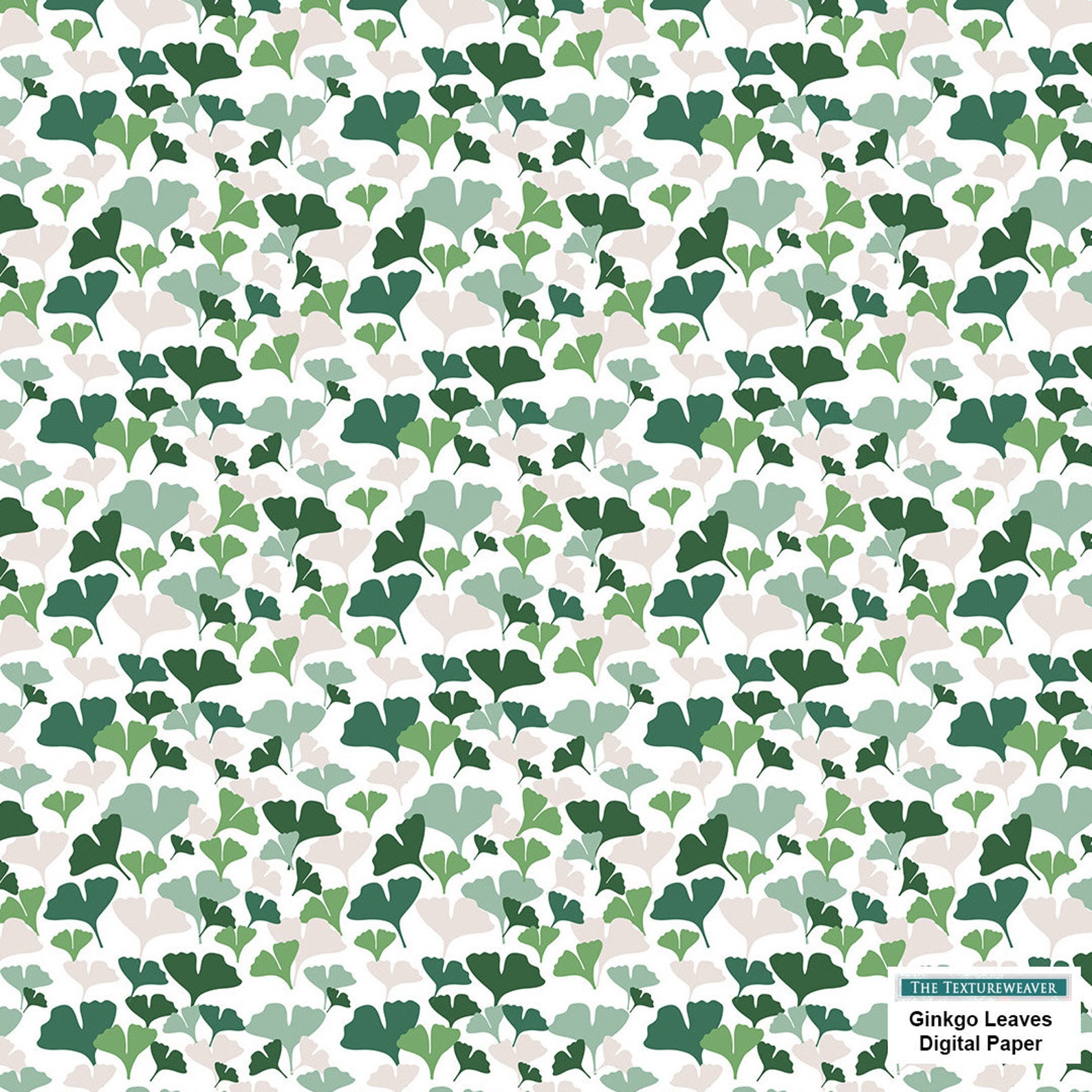 Ginkgo Leaves Digital Papers, Ginko Illustration,clam Shell Patterns ...