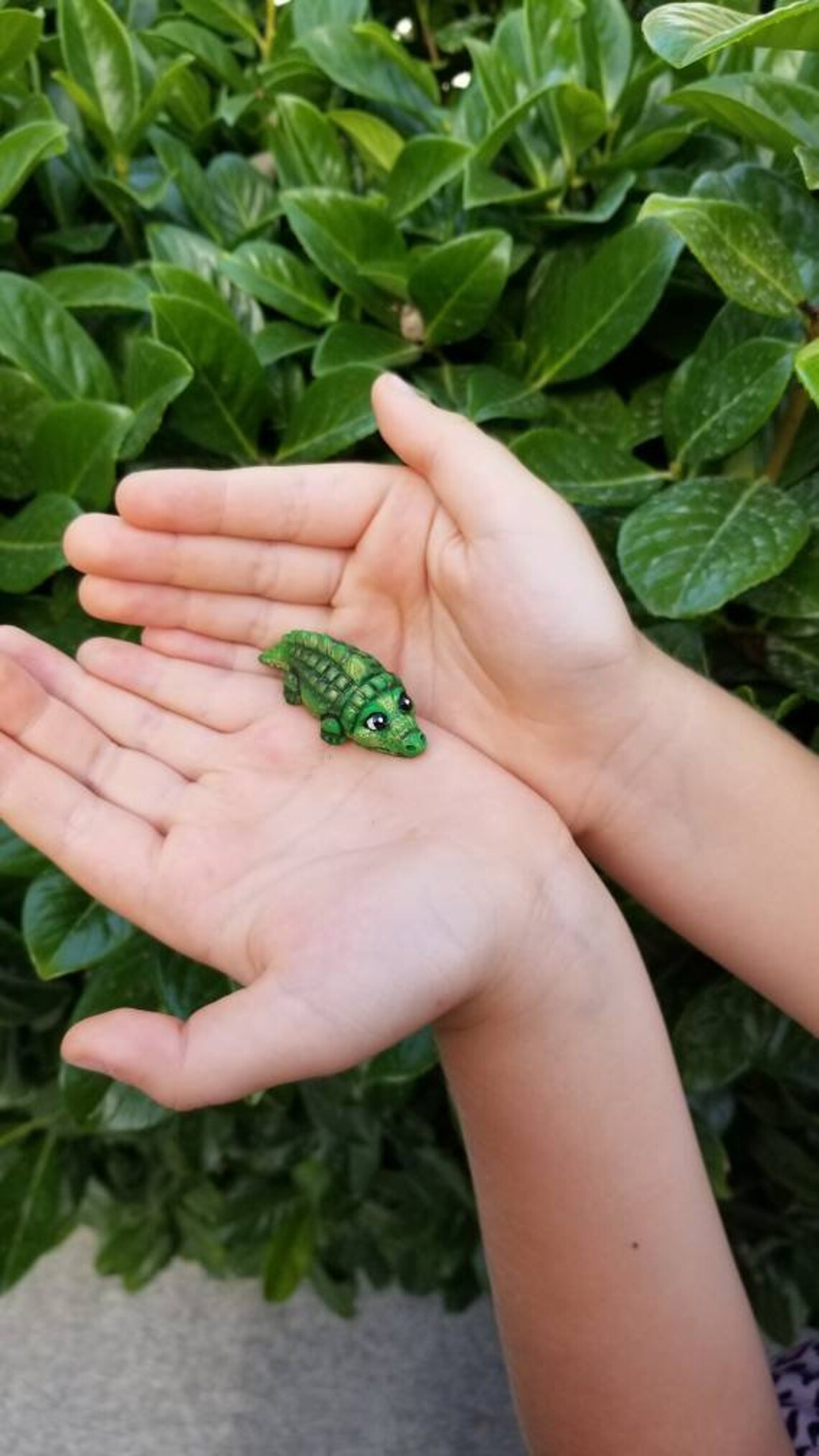 Crocodile Miniature, Alligator Miniature, Reptile Miniature, Small Cute ...