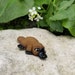 Cute Platypus Miniature,mini Platypus Figurine, Australian Animal ...