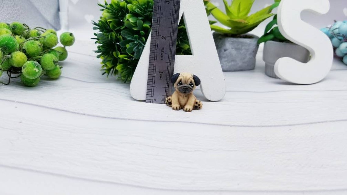 Cute Pug Miniature Dog Miniature Mini Dog Gift Personalized - Etsy