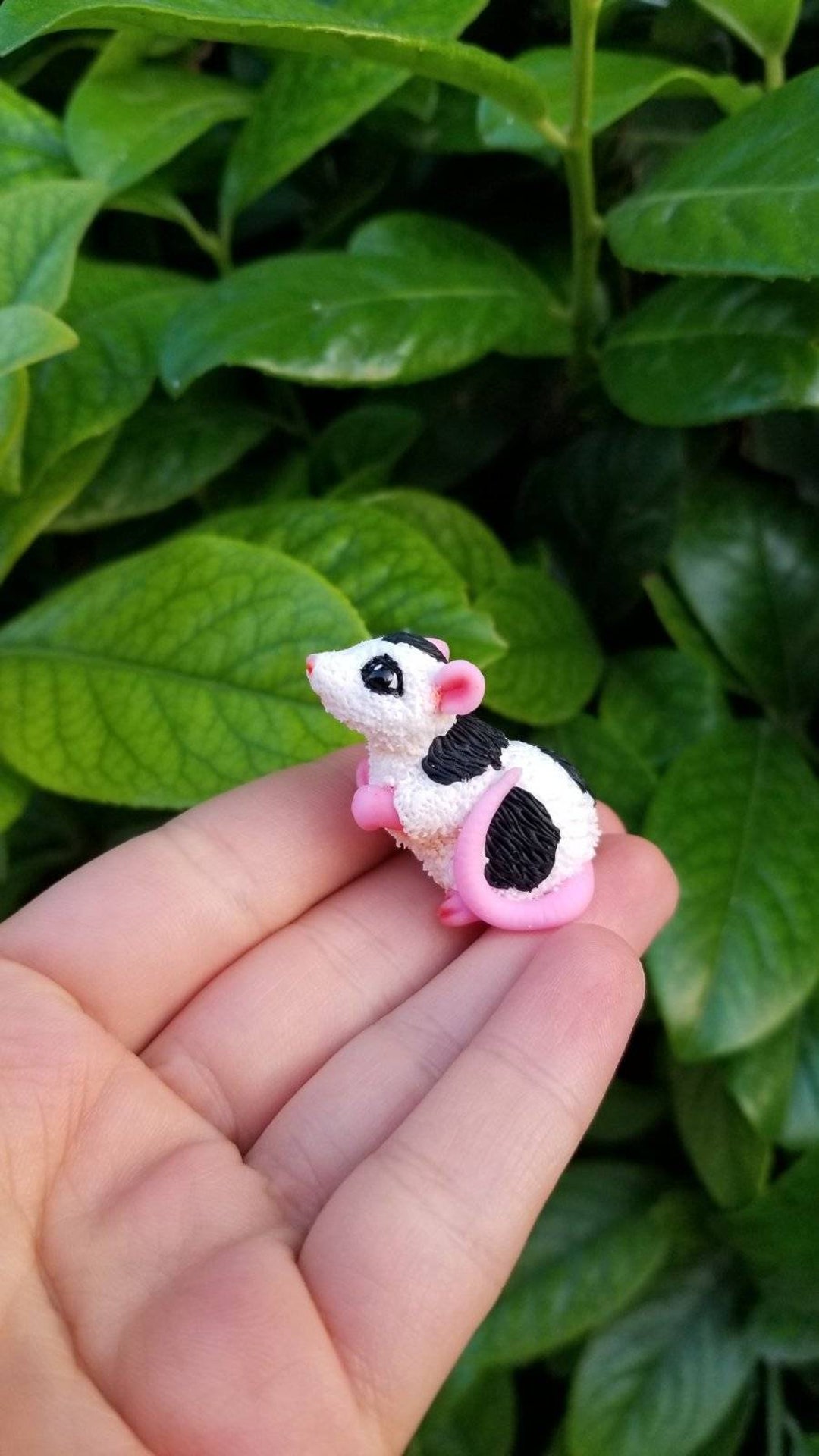 Cute Domestic Rat Miniature, Rodent Miniature Gift, Mini Rat From ...
