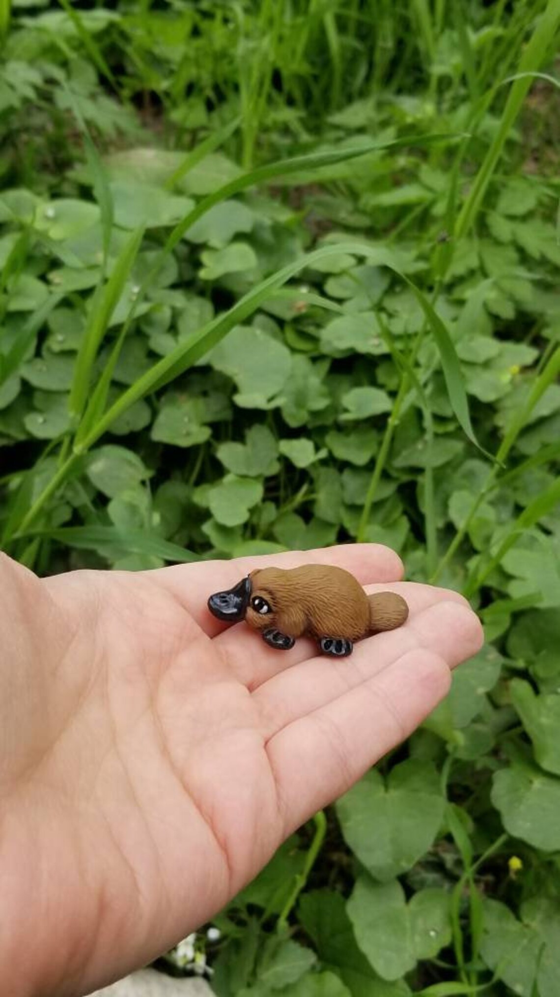 Cute Platypus Miniature,mini Platypus Figurine, Australian Animal ...