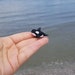 Orca Whale Gift / Orca Figurine / Cute Orca/ Miniature Orca/ - Etsy