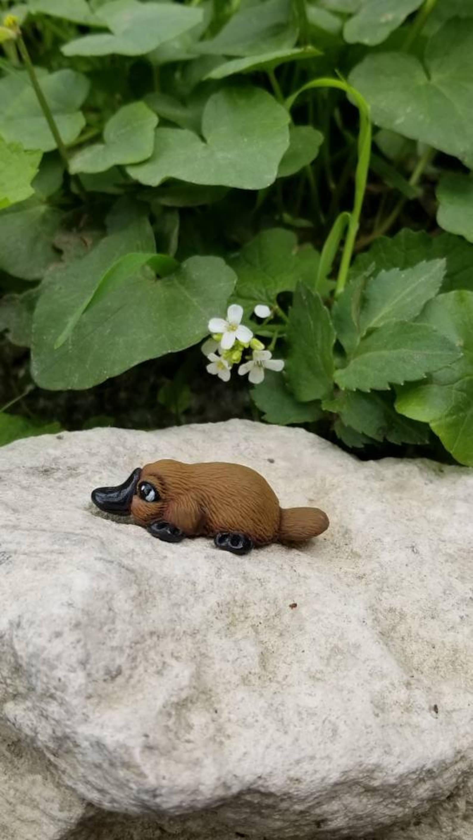 Tiny Platypus Miniature Sculpture, Handmade Polymer Clay Animal ...