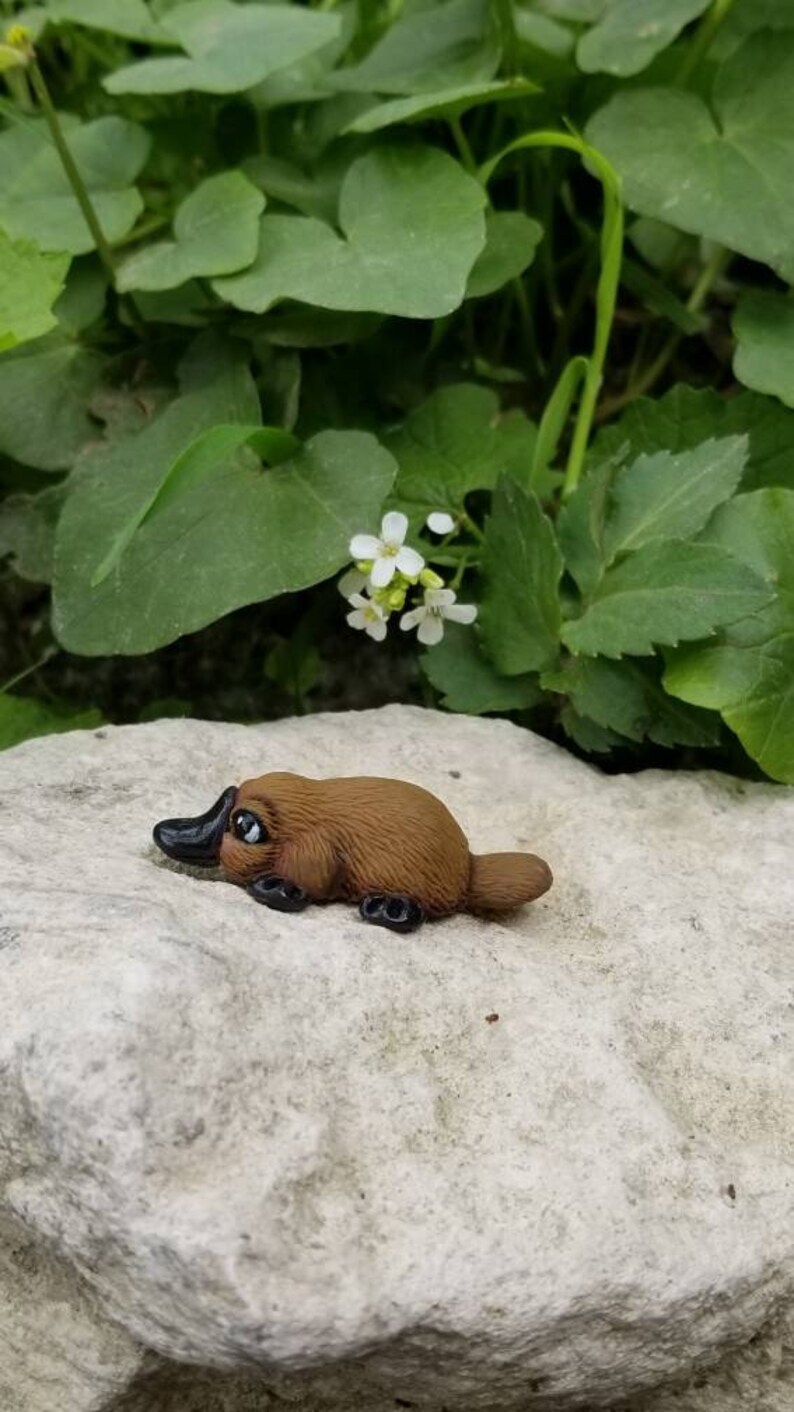 Tiny Platypus Miniature Sculpture, Handmade Polymer Clay Animal ...