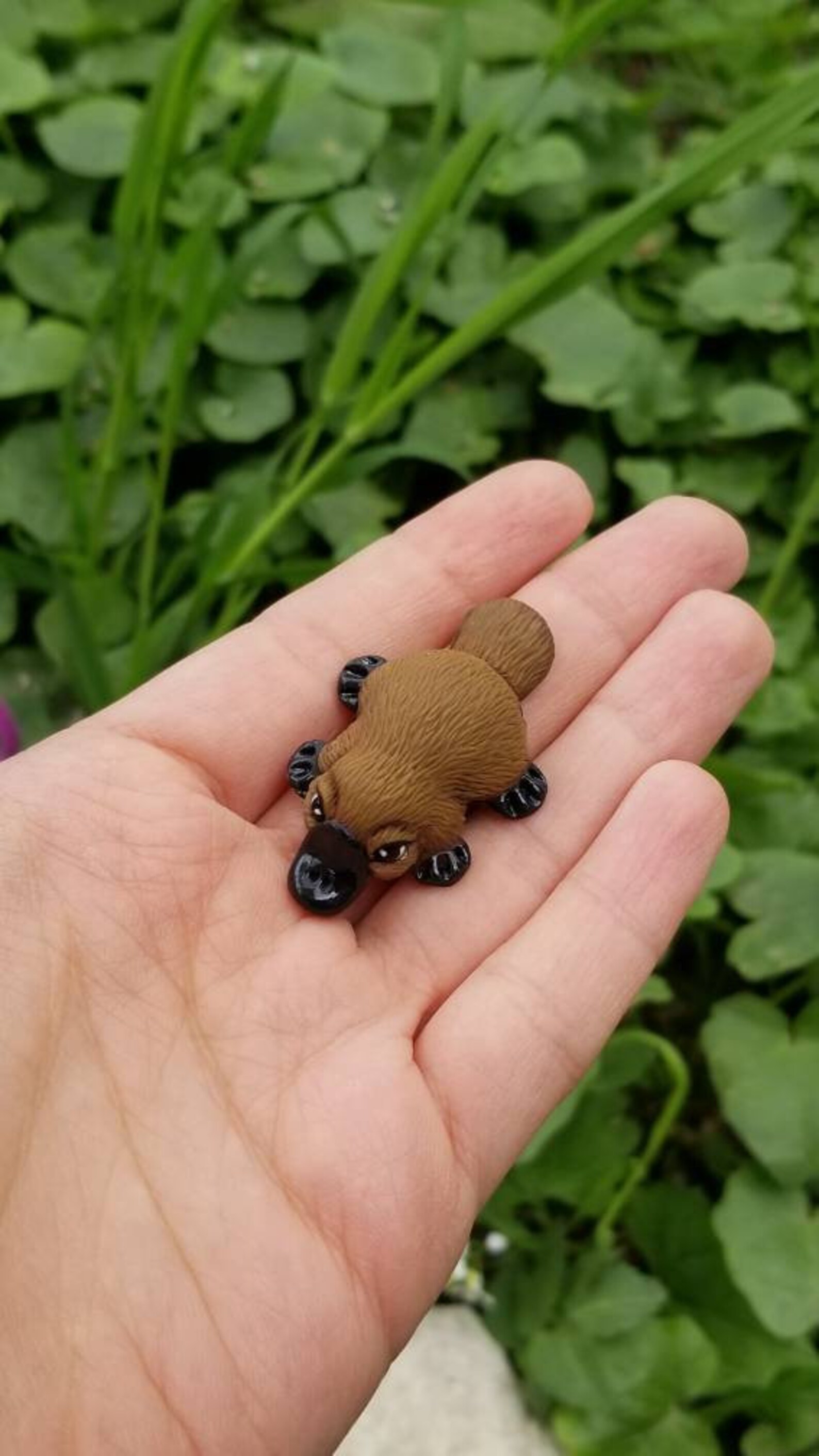 Tiny Platypus Miniature Sculpture, Handmade Polymer Clay Animal ...