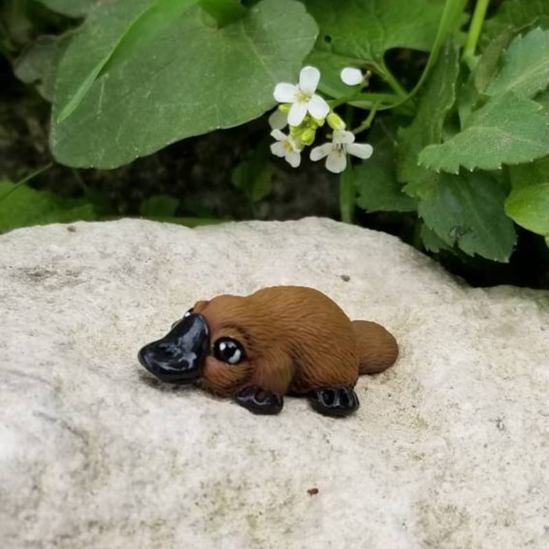 Platypus - Etsy