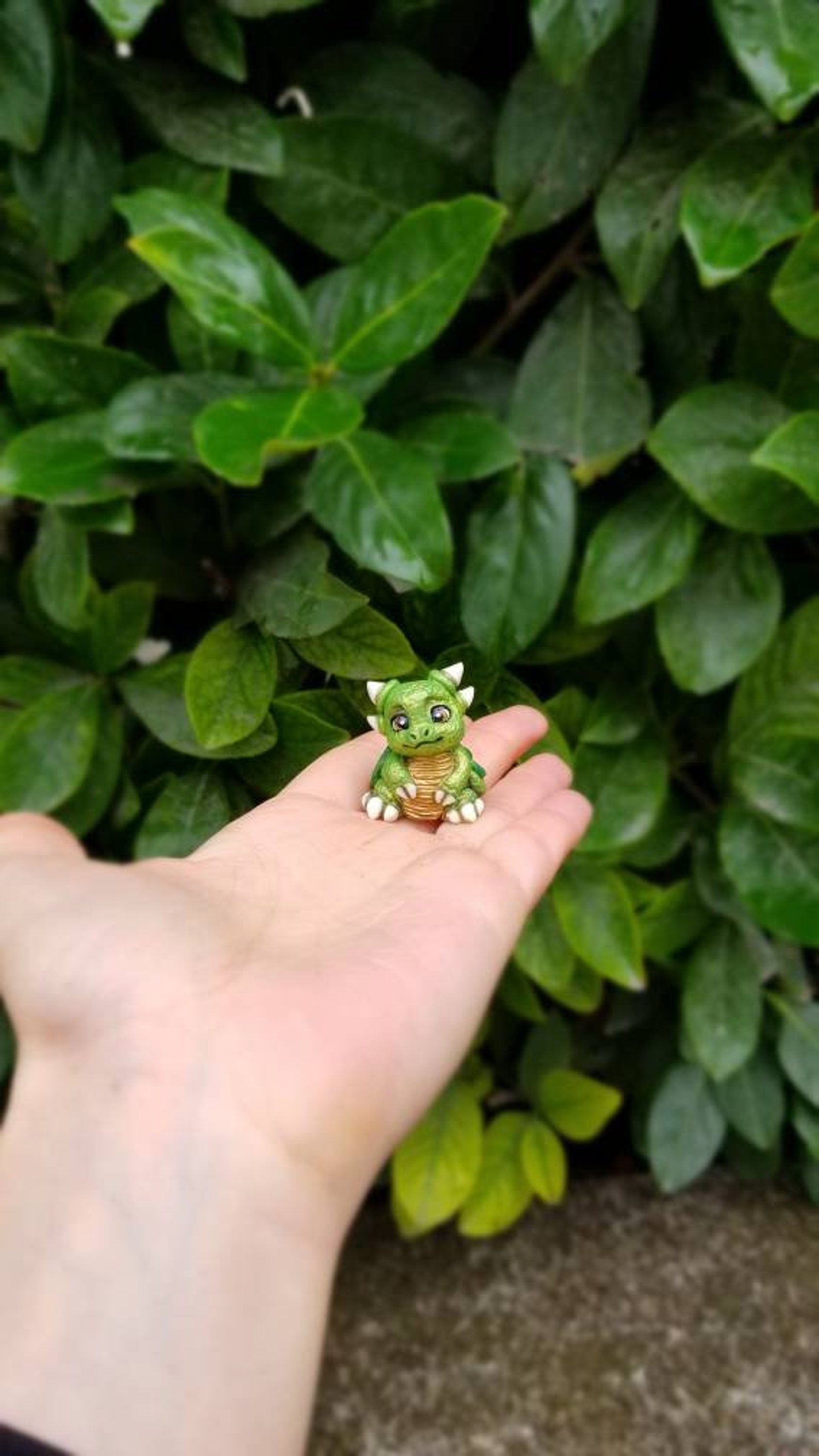 Cute Little Dragon Cub Miniature,dragon Collection Miniature, Mini ...