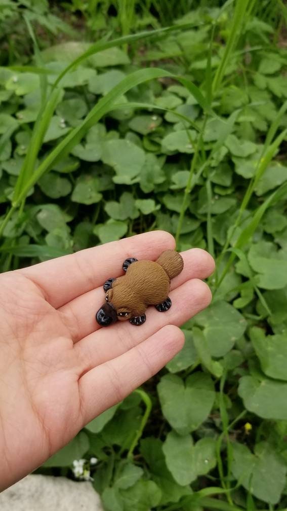 Tiny Platypus Miniature Sculpture, Handmade Polymer Clay Animal ...