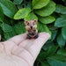 Cute Quokka Miniature Gift, Mini Quokka Sculpture, Quokka Statuette ...