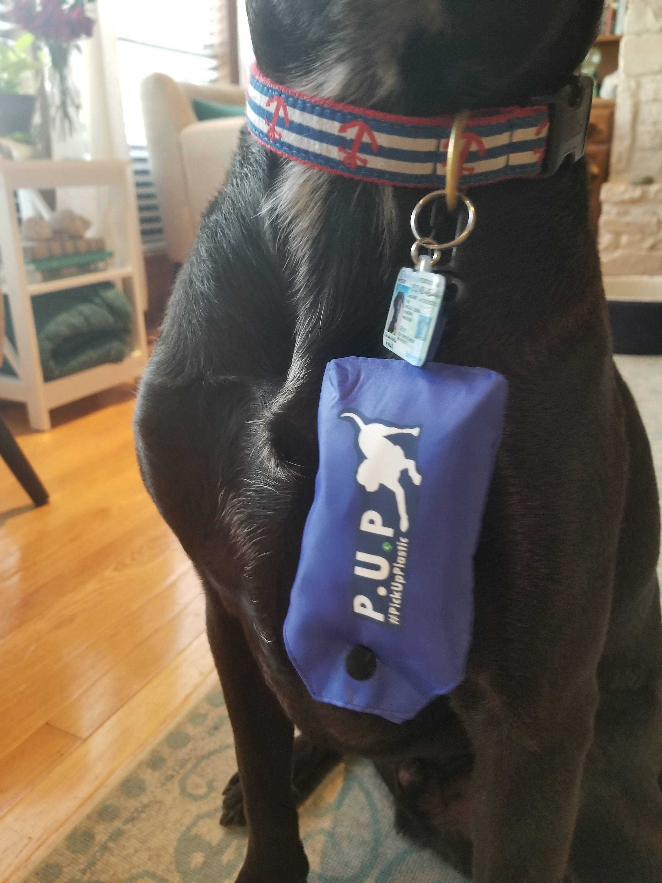 P.U.P. Bag™ - Etsy