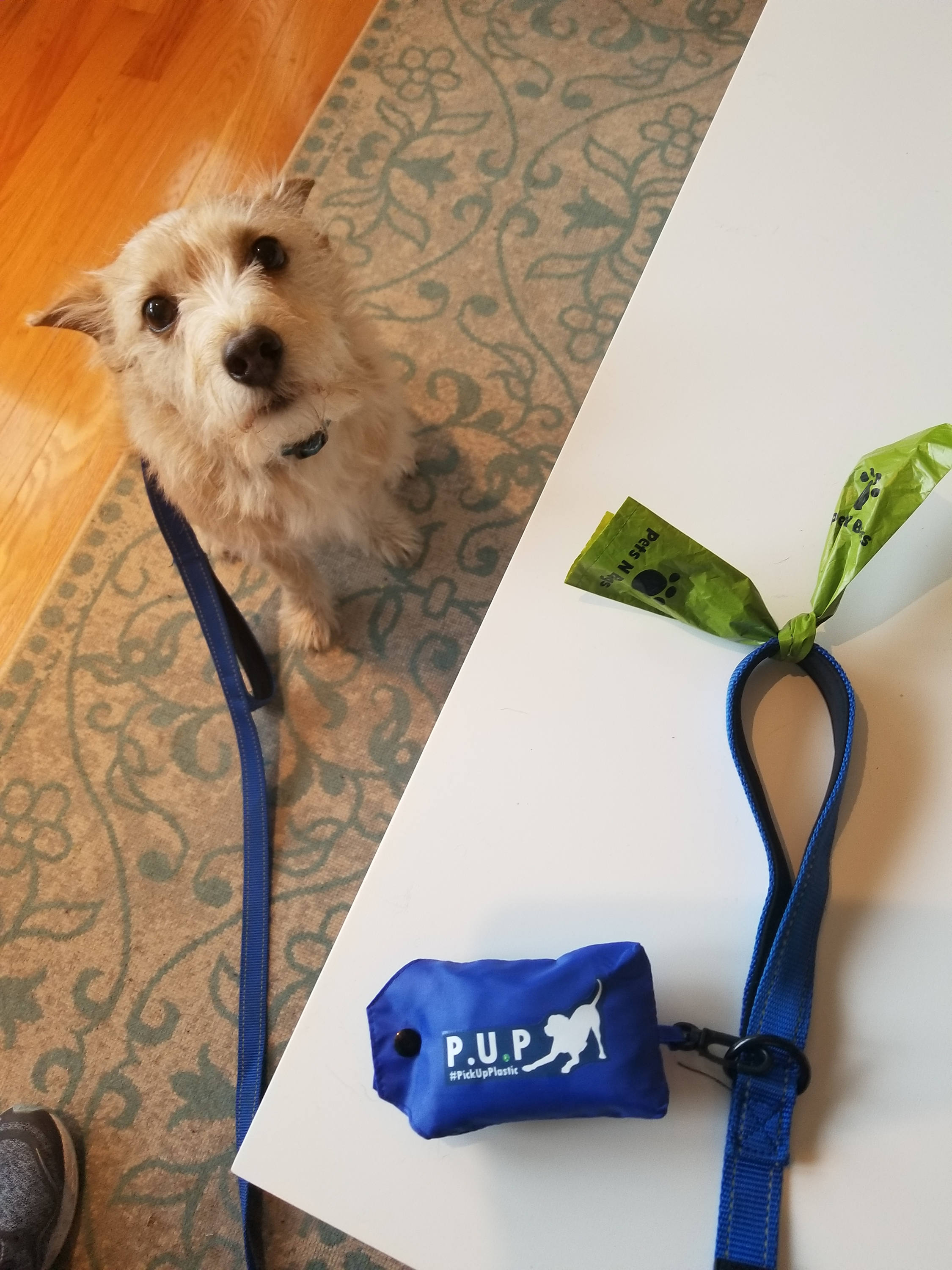 P.U.P. Bag™ - Etsy
