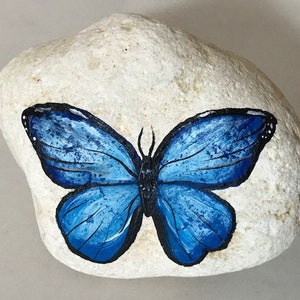 Painted Butterfly Rocks Personalized Gift Rocks for Any Occasion, Blue ...