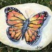 Painted Butterfly Rock, Painted Rocks, Custom Rocks, Rock Art ...