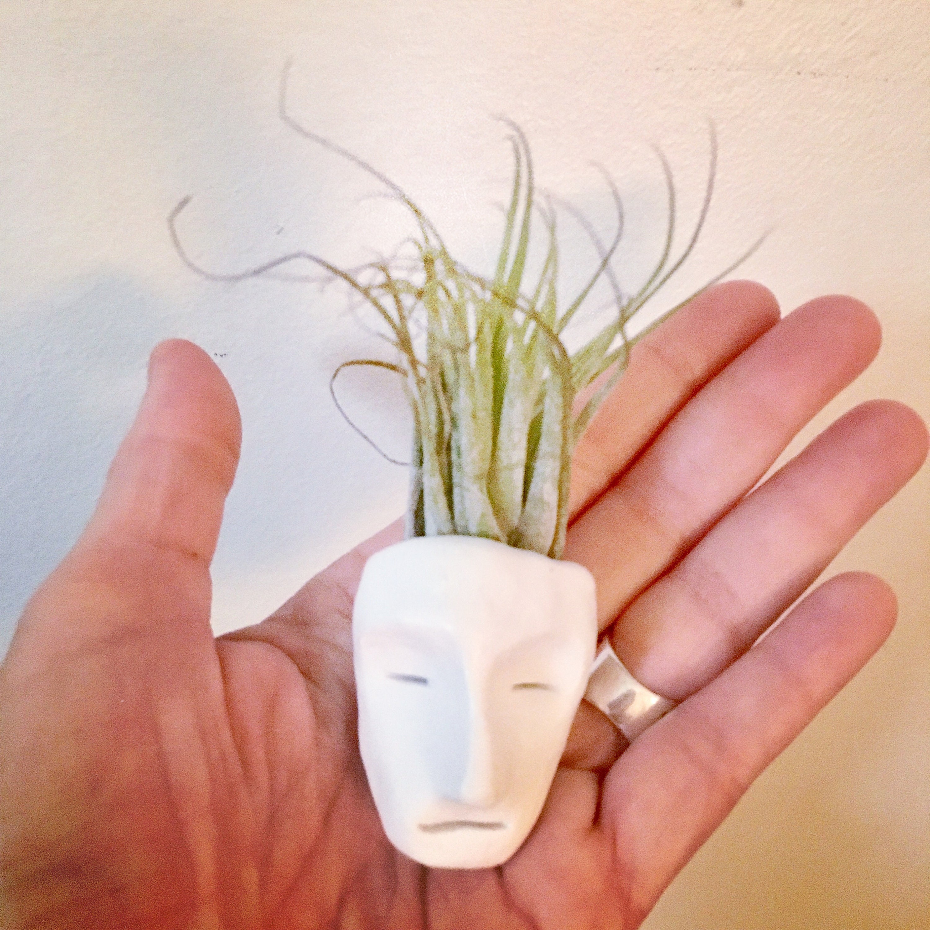 Set of Three Old Man Pot Heads W/o Air Plants - Etsy