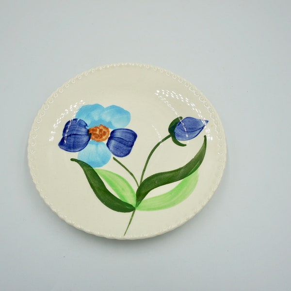 Blue Ridge Plates - Etsy