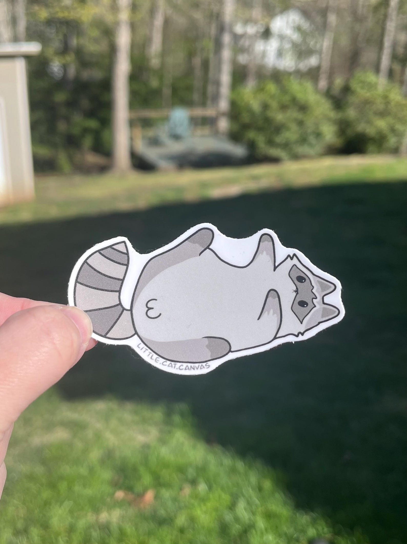 Raccoon Sticker - Funny Raccoon Sticker - Raccoon With Balls - Cute ...
