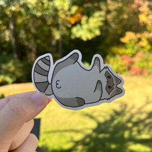 Raccoon Sticker Funny Raccoon Sticker Raccoon With Balls Cute Raccoon ...
