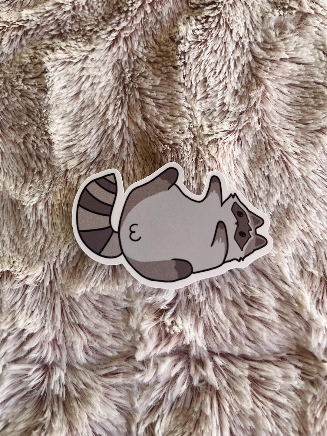 Raccoon Sticker Funny Raccoon Sticker Raccoon With Balls Cute Raccoon ...