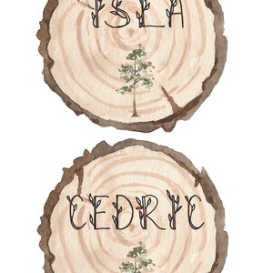 Class Labels | Elementary Classroom Decor Bundle | Teacher Toolbox ...