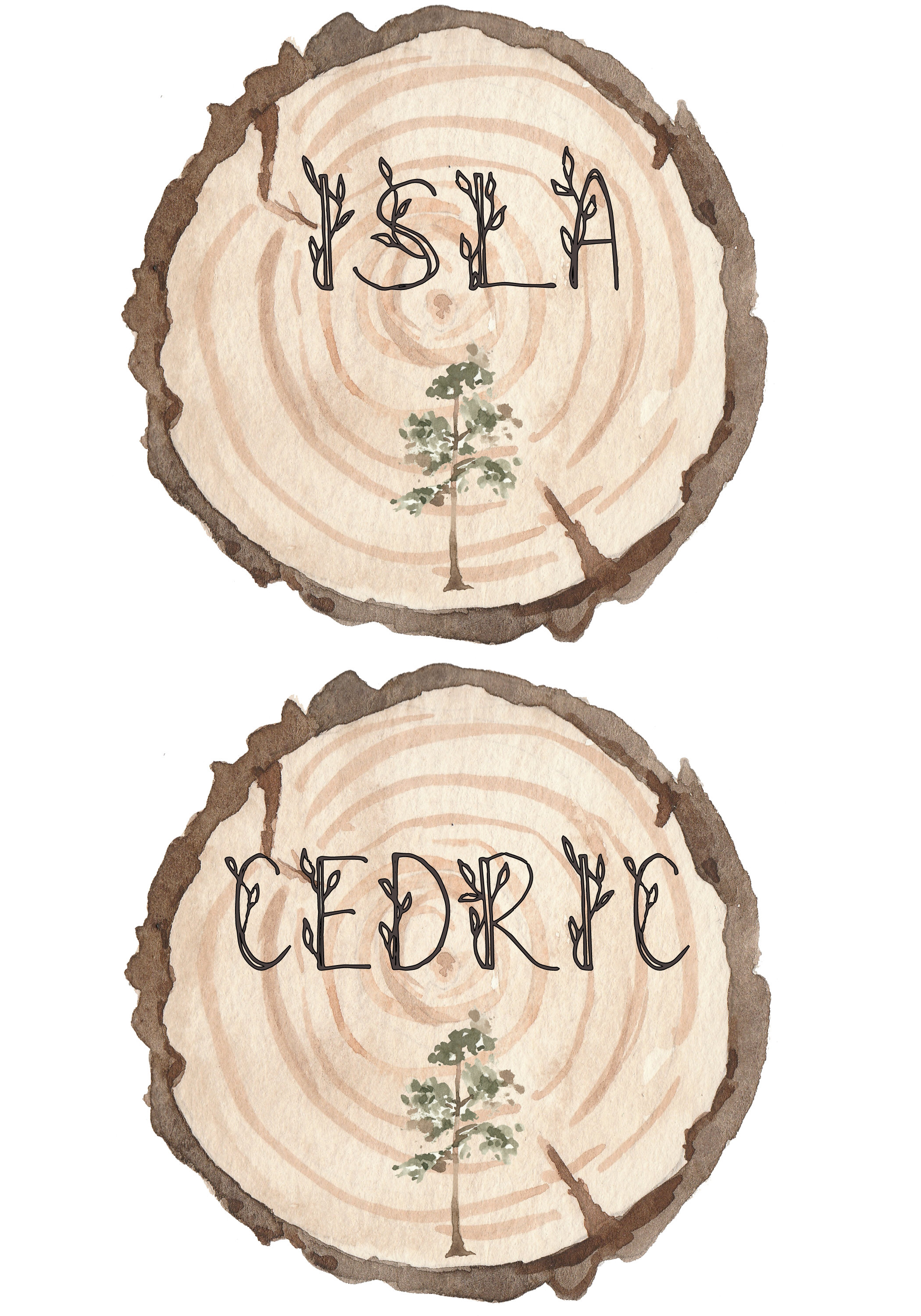 Etiquetas de clase / Paquete de decoración de aula elemental / Caja de ...