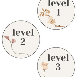 Class Labels | Elementary Classroom Decor Bundle | Teacher Toolbox ...