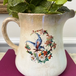 Rustic Ceramic Pitcher With Exotic Bird, Cherry Blossoms, and Fruit ...