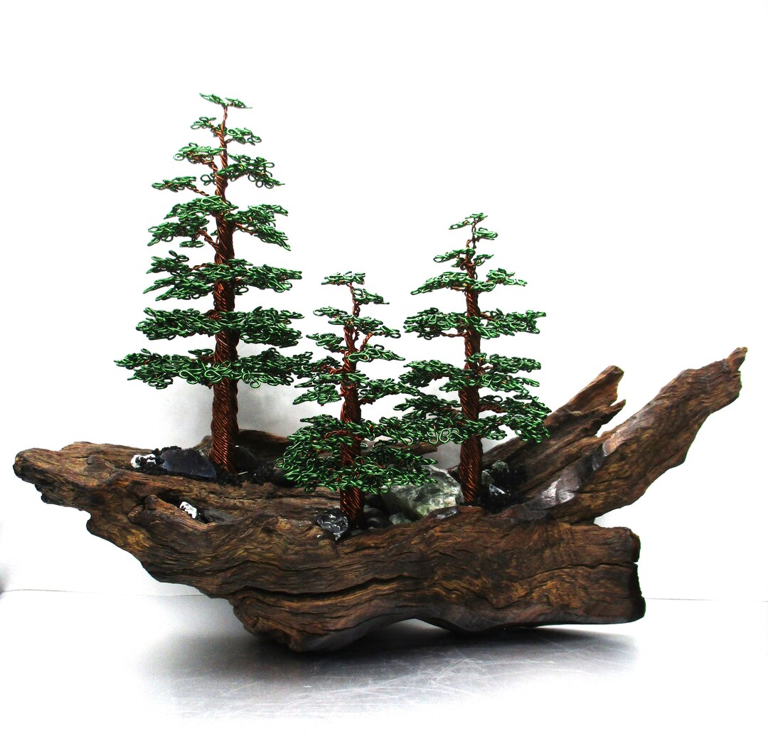 Evergreen Forest on Driftwood - Etsy