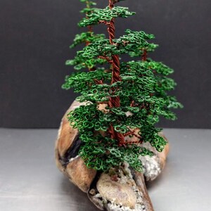 Evergreen Trees on Driftwood - Etsy