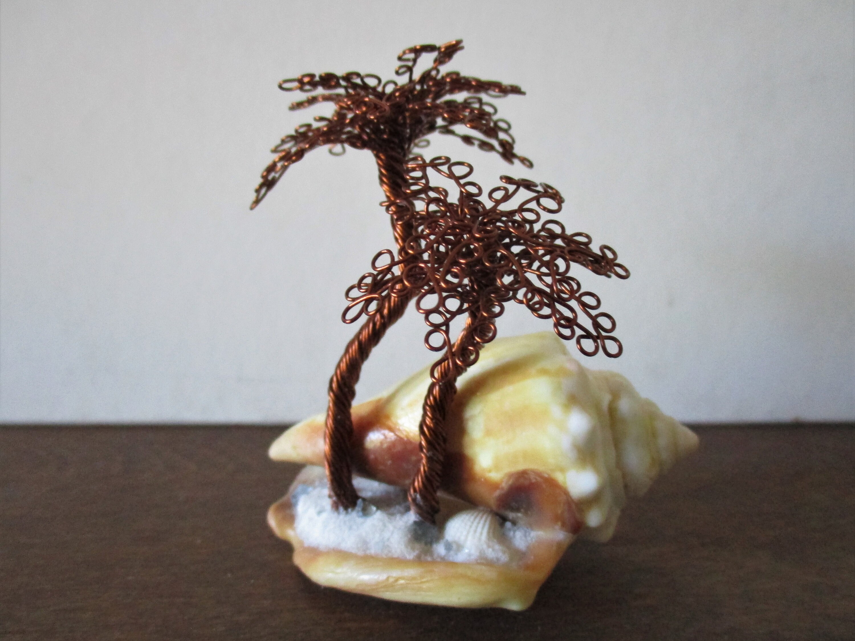 Palm Trees in Shell - Etsy